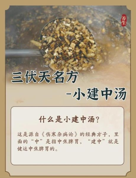 中伏是什么意思_中伏吃什么养生-第2张图片-山城妙识