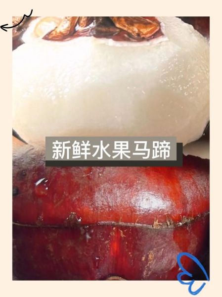 荸荠怎么去皮_荸荠最简单的家常做法-第3张图片-山城妙识 荸荠怎么去皮_荸荠最简单的家常做法-第3张图片-山城妙识