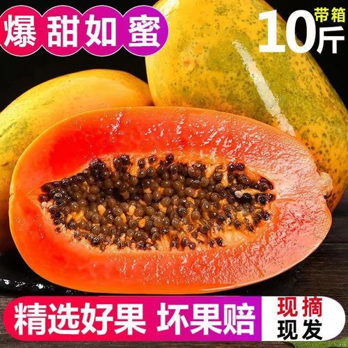 丰胸吃青木瓜还是红木瓜_效果区别在哪-第3张图片-山城妙识 丰胸吃青木瓜还是红木瓜_效果区别在哪-第3张图片-山城妙识