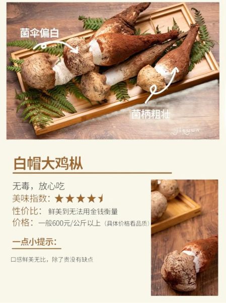 野生鸡枞菌怎么保存_野生鸡枞菌多少钱一斤-第2张图片-山城妙识 野生鸡枞菌怎么保存_野生鸡枞菌多少钱一斤-第2张图片-山城妙识