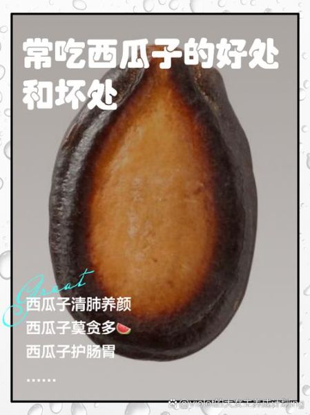 西瓜子的热量高吗_西瓜子减肥能吃吗-第1张图片-山城妙识