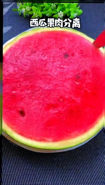 西瓜雪糕怎么做_西瓜雪糕家常做法-第3张图片-山城妙识