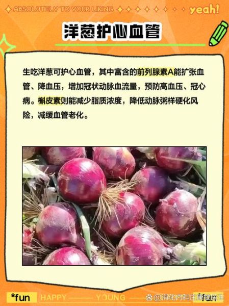 女人生吃洋葱有什么好处_生吃洋葱能减肥吗-第2张图片-山城妙识 女人生吃洋葱有什么好处_生吃洋葱能减肥吗-第2张图片-山城妙识