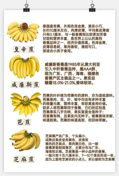 香蕉一天吃几个最好_吃香蕉最佳数量-第1张图片-山城妙识