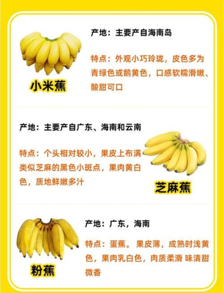 香蕉一天吃几个最好_吃香蕉最佳数量-第2张图片-山城妙识