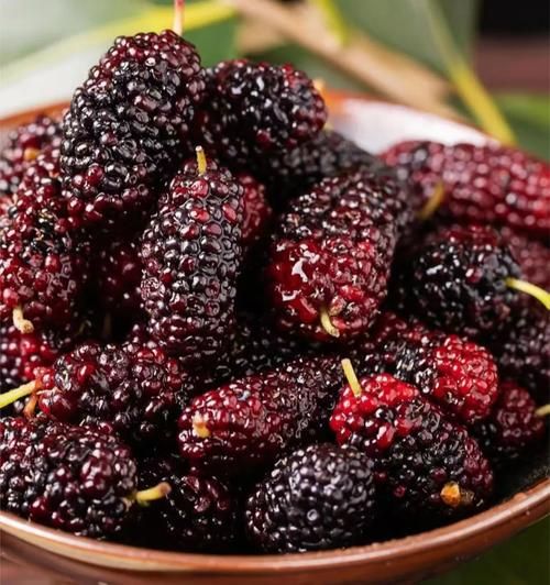 吃什么水果壮阳补肾_哪些水果补肾效果好-第2张图片-山城妙识