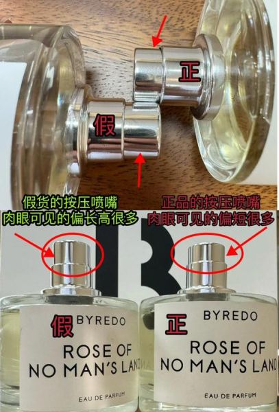 真正的玫瑰花图片大全_如何辨别真假玫瑰-第3张图片-山城妙识