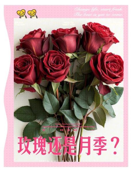 真正的玫瑰花图片大全_如何辨别真假玫瑰-第2张图片-山城妙识