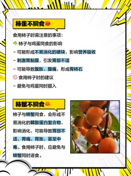 大柿子功效与作用_吃柿子有哪些禁忌-第3张图片-山城妙识 大柿子功效与作用_吃柿子有哪些禁忌-第3张图片-山城妙识