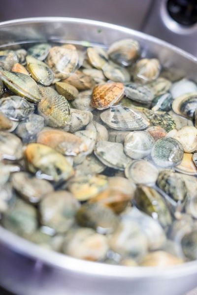 花蛤肚子里屎怎么清洗_花蛤吐沙最快的方法-第1张图片-山城妙识