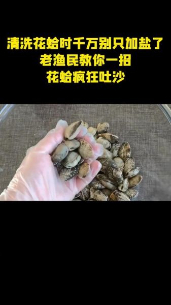 花蛤肚子里屎怎么清洗_花蛤吐沙最快的方法-第3张图片-山城妙识