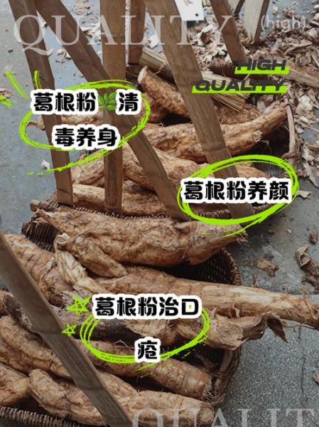 女人吃葛粉的好处有哪些_葛粉对女性的作用与功效-第1张图片-山城妙识