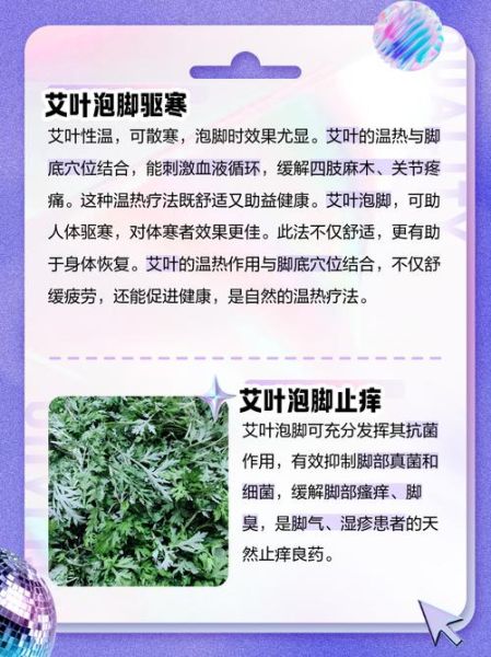 艾叶泡脚的正确方法_艾叶的功效与作用-第3张图片-山城妙识