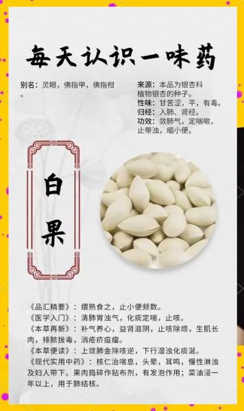 白果的功效与作用及禁忌_白果怎么吃才安全-第1张图片-山城妙识