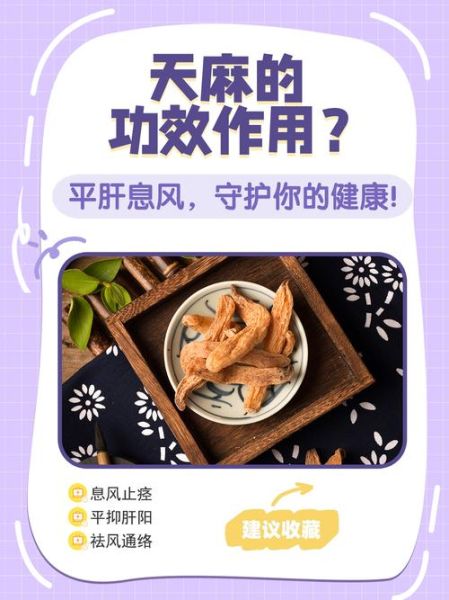 天麻副作用有哪些_天麻禁忌人群有哪些-第3张图片-山城妙识 天麻副作用有哪些_天麻禁忌人群有哪些-第3张图片-山城妙识