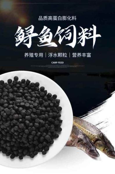 中华鲟鱼吃什么饲料_中华鲟饲料配方-第1张图片-山城妙识