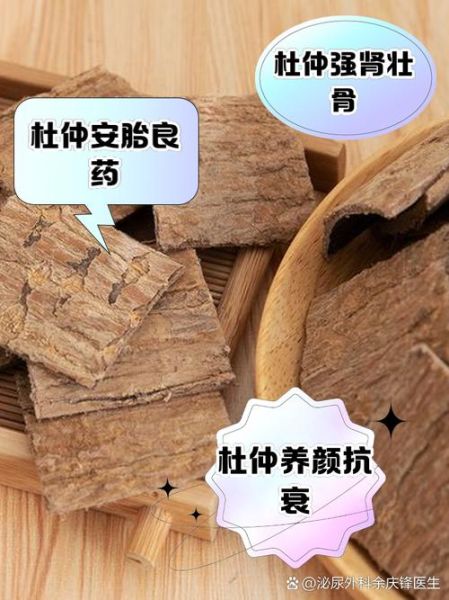 生杜仲的功效与作用_生杜仲怎么吃效果最好-第2张图片-山城妙识 生杜仲的功效与作用_生杜仲怎么吃效果最好-第2张图片-山城妙识