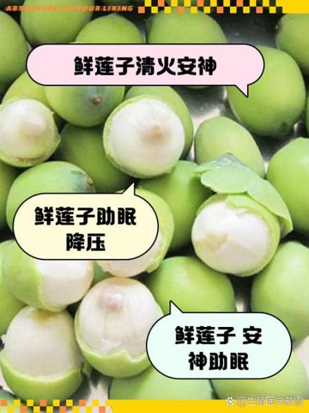 莲子生吃有什么好处_莲子生吃禁忌有哪些-第2张图片-山城妙识