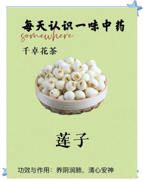 莲子生吃有什么好处_莲子生吃禁忌有哪些-第1张图片-山城妙识