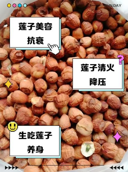 莲子生吃有什么好处_莲子生吃禁忌有哪些-第3张图片-山城妙识
