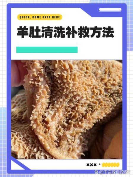 羊肚怎么清洗去腥_羊肚的家常做法大全-第1张图片-山城妙识