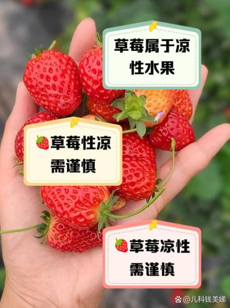 草莓是凉性的吗_草莓寒性体质能吃吗-第2张图片-山城妙识 草莓是凉性的吗_草莓寒性体质能吃吗-第2张图片-山城妙识