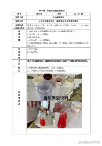汽水饮料怎么做_自制汽水配方比例-第2张图片-山城妙识