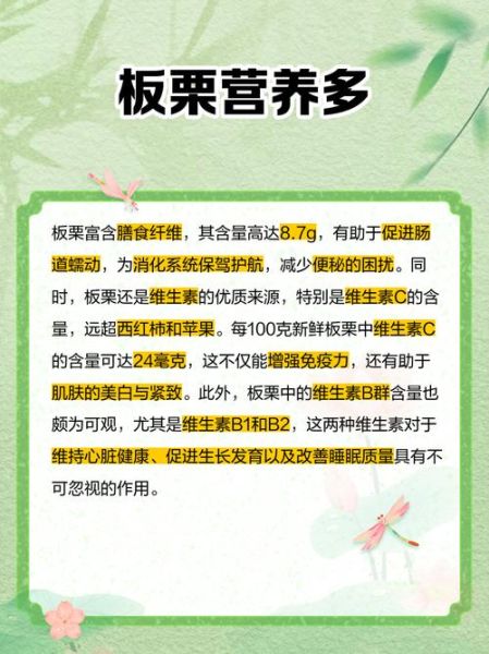 板栗的营养价值有哪些_板栗的药用价值与功效-第2张图片-山城妙识