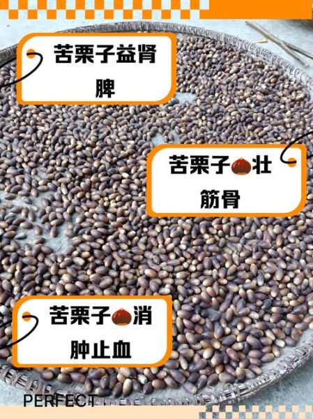 板栗的营养价值有哪些_板栗的药用价值与功效-第3张图片-山城妙识