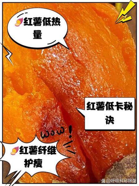 红薯热量高还是米饭热量高_减肥选哪个-第1张图片-山城妙识