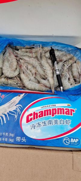 厄瓜多尔白虾多少钱一斤_厄瓜多尔白虾怎么做好吃-第3张图片-山城妙识 厄瓜多尔白虾多少钱一斤_厄瓜多尔白虾怎么做好吃-第3张图片-山城妙识