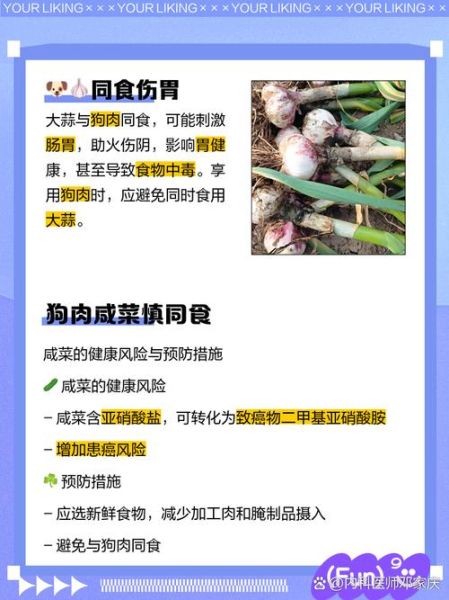 炖狗肉的做法_如何去除土腥味-第2张图片-山城妙识