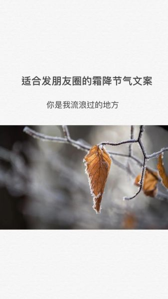 霜降文案怎么写_霜降简短文案有哪些-第2张图片-山城妙识 霜降文案怎么写_霜降简短文案有哪些-第2张图片-山城妙识