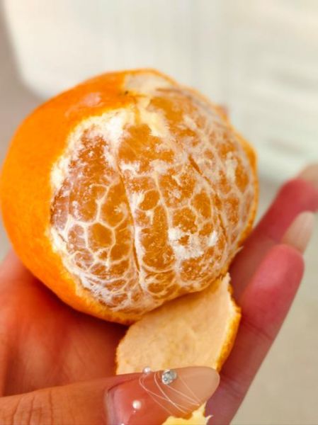 果冻橙怎么挑选_果冻橙为什么叫果冻橙-第2张图片-山城妙识