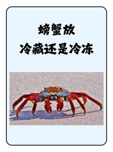 海螃蟹能冷冻保存吗_海螃蟹冷冻后口感会变差吗-第2张图片-山城妙识