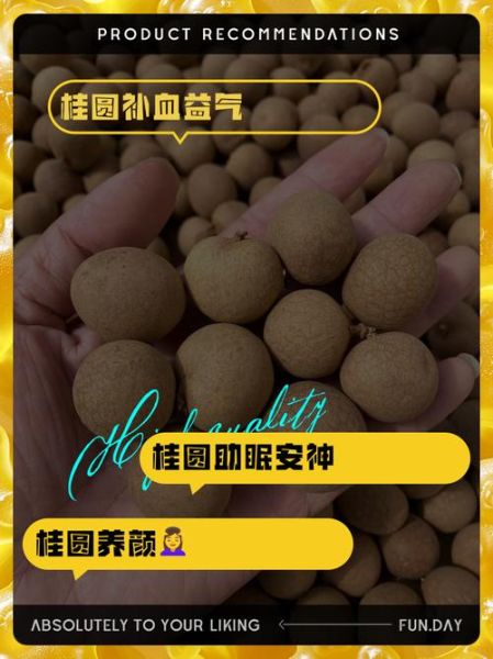 女人每天吃几颗桂圆_吃桂圆会不会上火-第1张图片-山城妙识