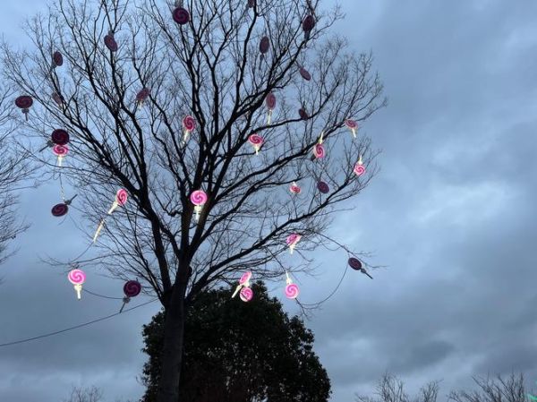 chocolate怎么读_chocolate发音技巧-第1张图片-山城妙识