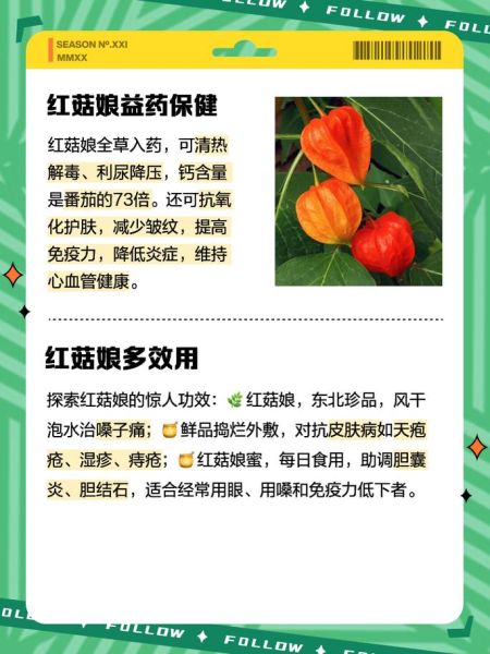 红菇娘的功效与作用有哪些_红菇娘的营养价值高吗-第3张图片-山城妙识