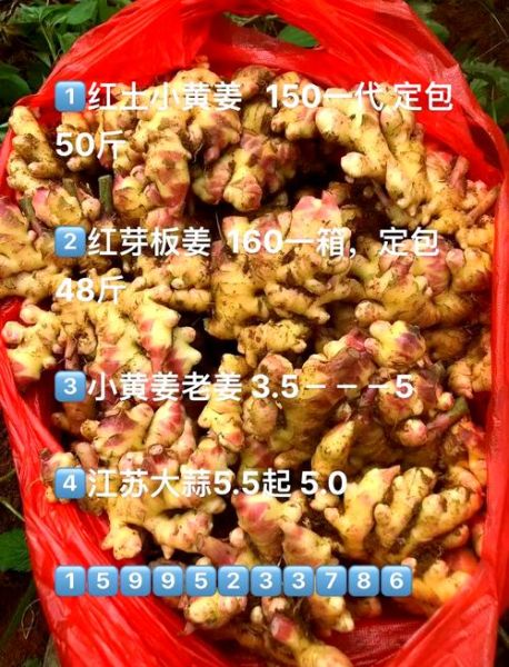 今日生姜价格多少钱一斤_生姜价格为何波动大-第2张图片-山城妙识 今日生姜价格多少钱一斤_生姜价格为何波动大-第2张图片-山城妙识