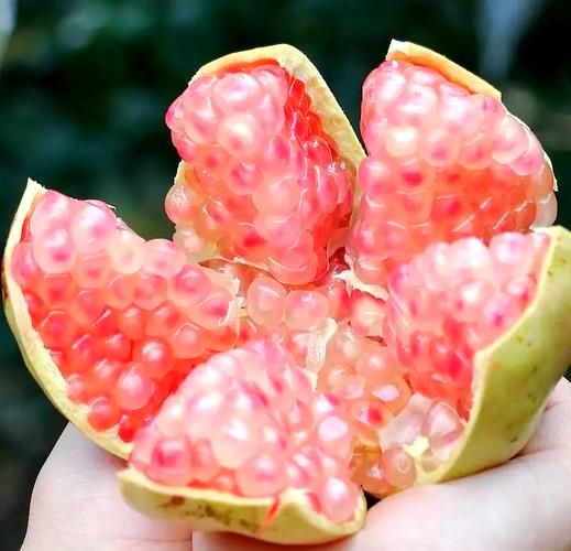 石榴的正确吃法_石榴怎么吃才最甜-第1张图片-山城妙识
