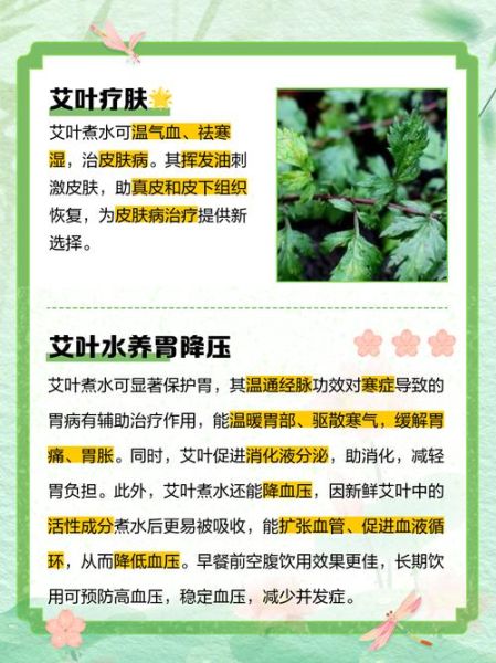 艾叶水能喝吗_艾叶水怎么喝才安全-第1张图片-山城妙识