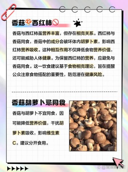 平菇不能和什么一起吃_平菇与哪些食物相克-第2张图片-山城妙识