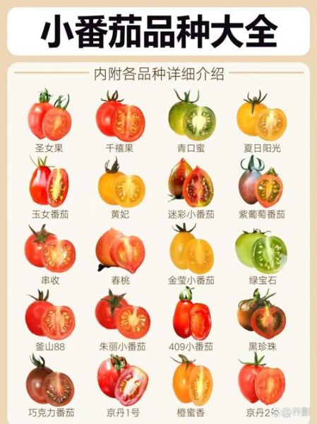 常见水果有哪些_水果名称大全及功效-第3张图片-山城妙识