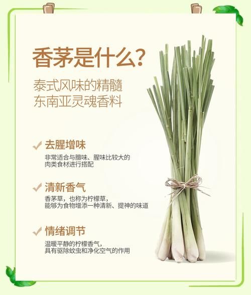 香茅草长什么样_香茅草图片怎么识别-第3张图片-山城妙识