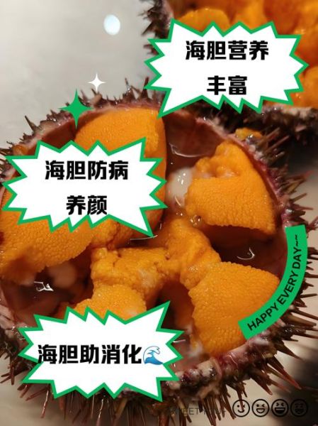 吃海胆有什么好处_海胆营养价值高吗-第1张图片-山城妙识 吃海胆有什么好处_海胆营养价值高吗-第1张图片-山城妙识