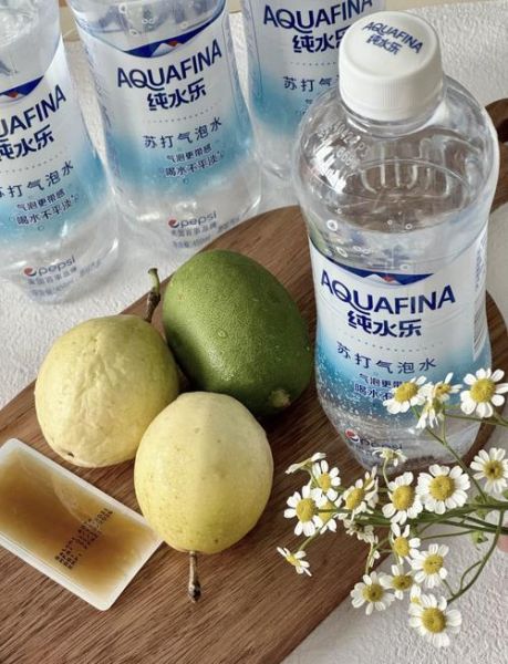 柠檬气泡水怎么做_柠檬气泡水热量高吗-第1张图片-山城妙识 柠檬气泡水怎么做_柠檬气泡水热量高吗-第1张图片-山城妙识