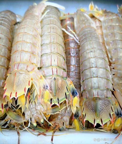 虾爬子蒸几分钟_虾爬子蒸多久才熟-第3张图片-山城妙识