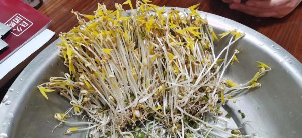 芽菜是什么菜_芽菜和豆芽的区别-第2张图片-山城妙识