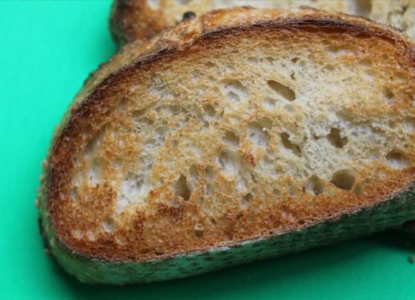 how_to_store_bread_without_mold-第2张图片-山城妙识 how_to_store_bread_without_mold-第2张图片-山城妙识