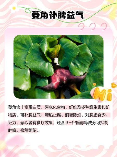 水菱角长什么样_水菱角和菱角区别-第2张图片-山城妙识